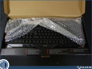 ASUS Cerberus Gaming Keyboard Review - OC3D